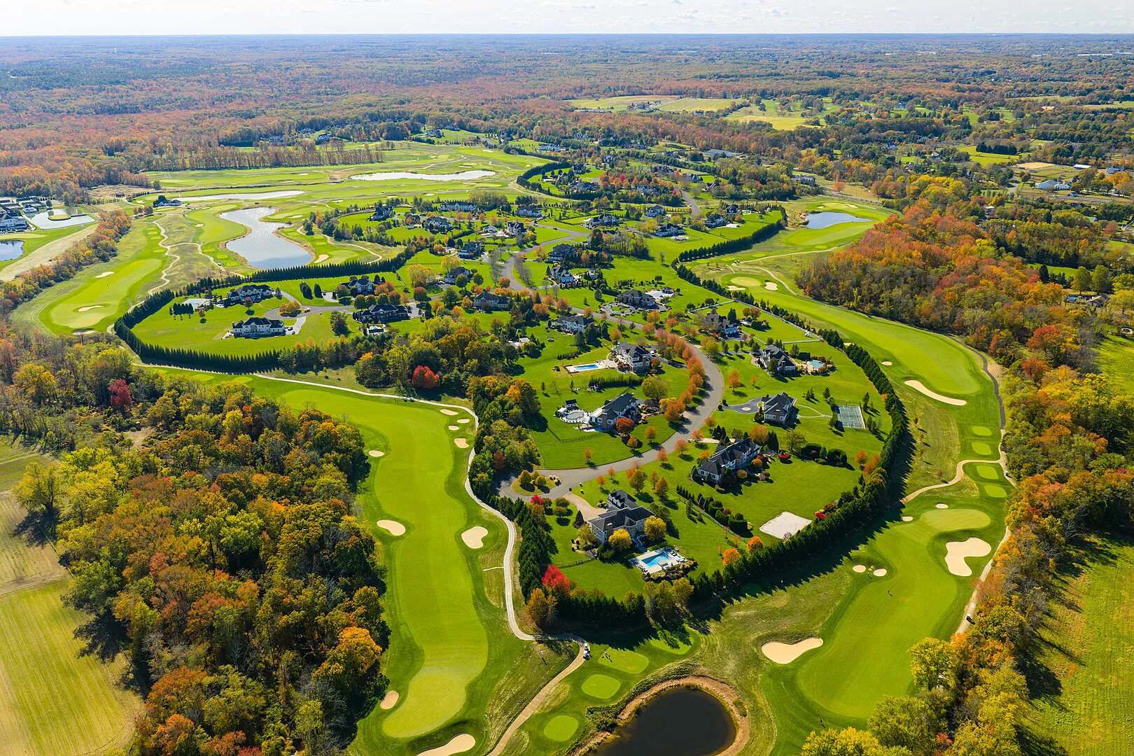 Colts Neck Tree Care & Restoration Experts: Pruning, Trimming, Risk ...